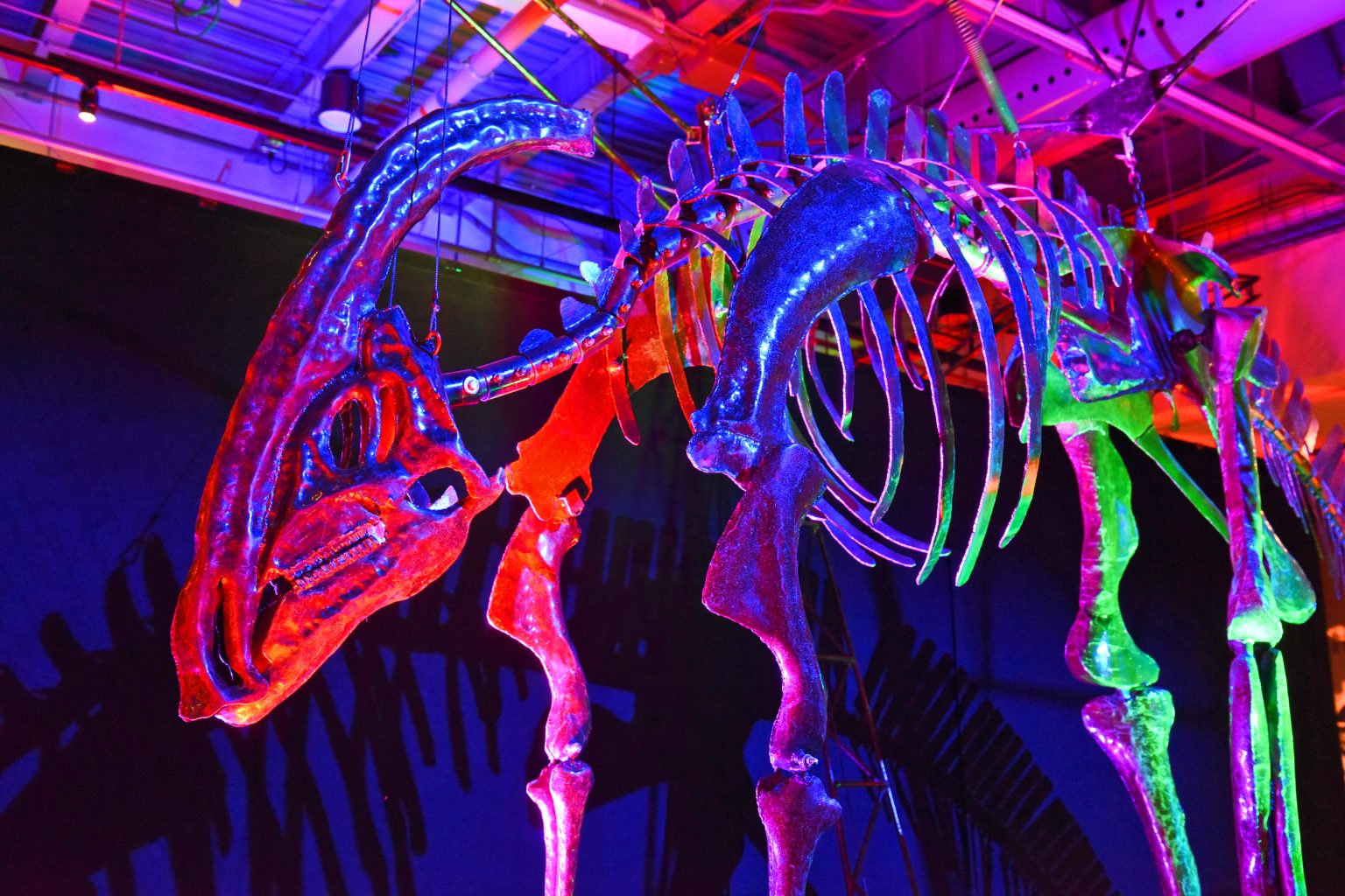 Featured Exhibit- Discovery Centre, Nova Scotia's Science Centre