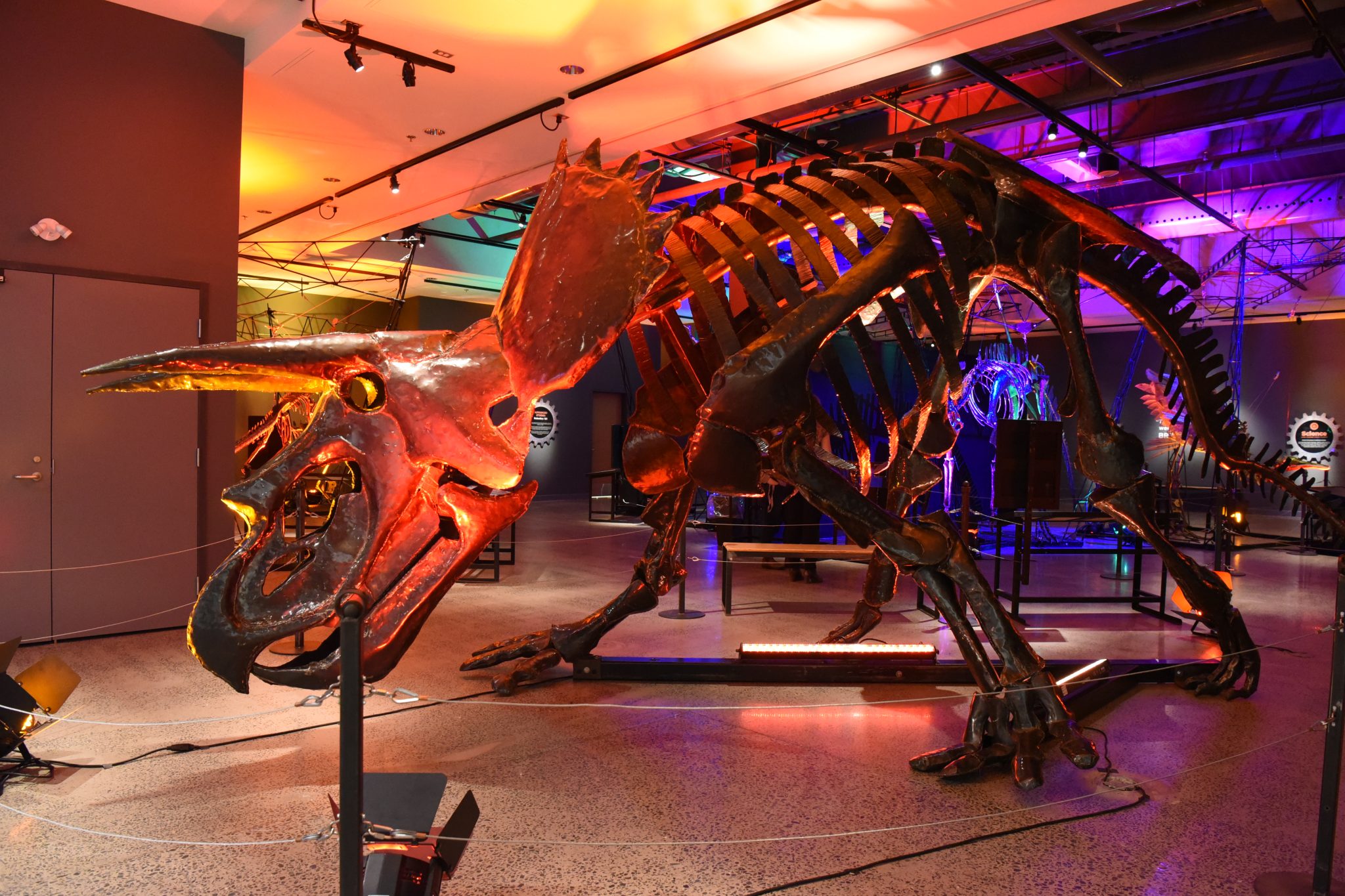 Featured Exhibit- Discovery Centre, Nova Scotia's Science Centre